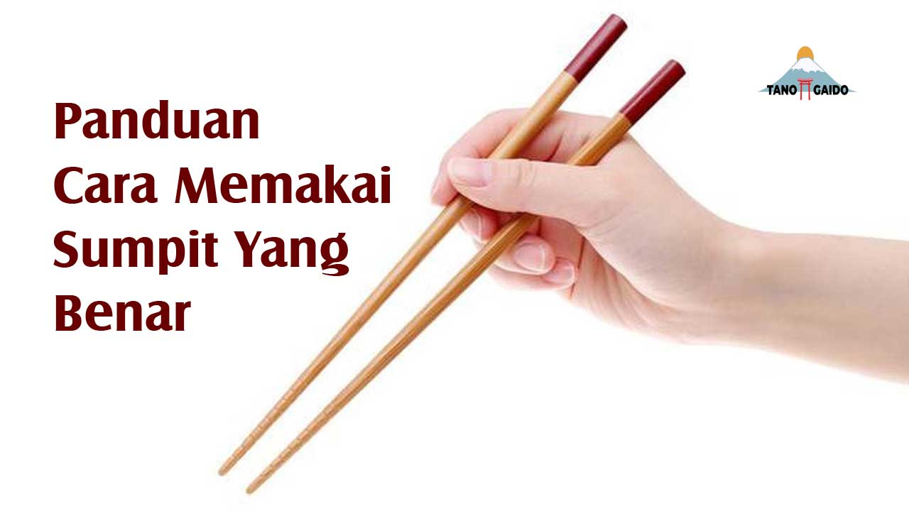 Cara Memakai Sumpit Yang Benar Untuk Makan | TANOGAIDO