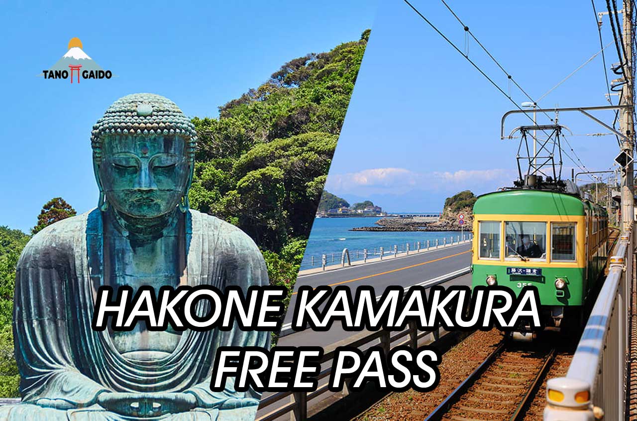 Hakone Kamakura Free Pass: Complete Guide | TANOGAIDO