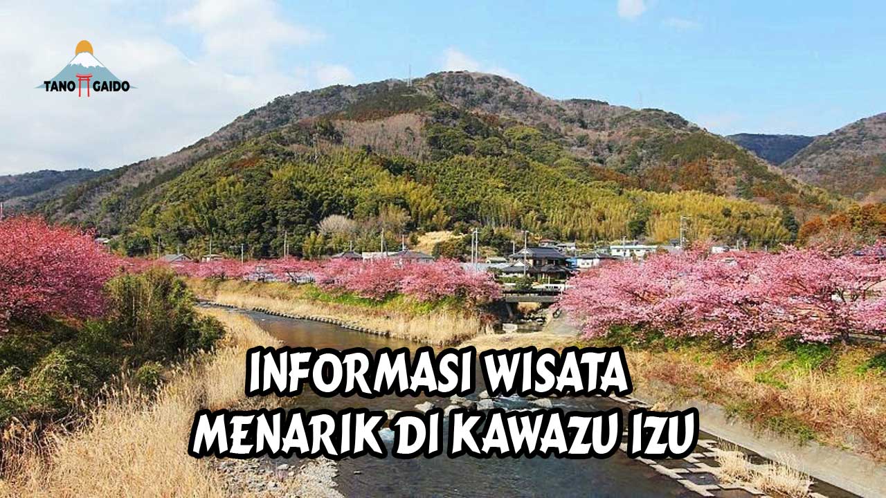 Kawazu-Zakura: Nikmati Keindahan Bunga Sakura | TANOGAIDO