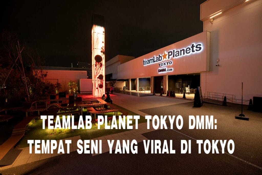 teamLab Planet TOKYO DMM: Tempat Seni yang Viral di Tokyo | TANOGAIDO